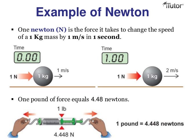 What are some objects that weigh 1 pound? - wehelpcheapessaydownload ...