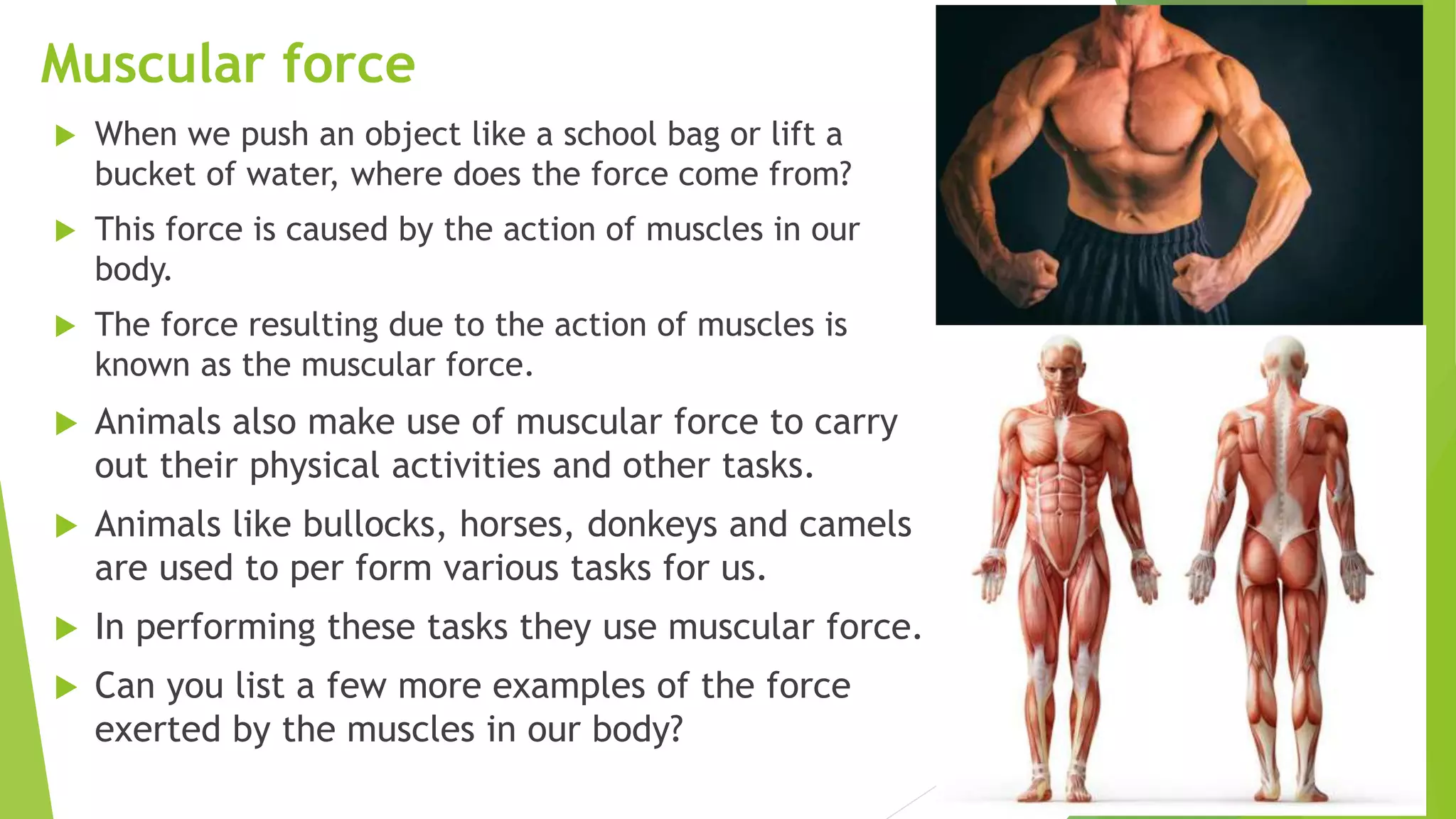 Force and pressure - kinds of forces | PPTX | Physics | Science