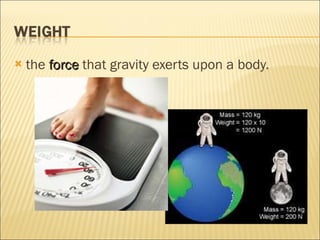 Force and motion review | PPT