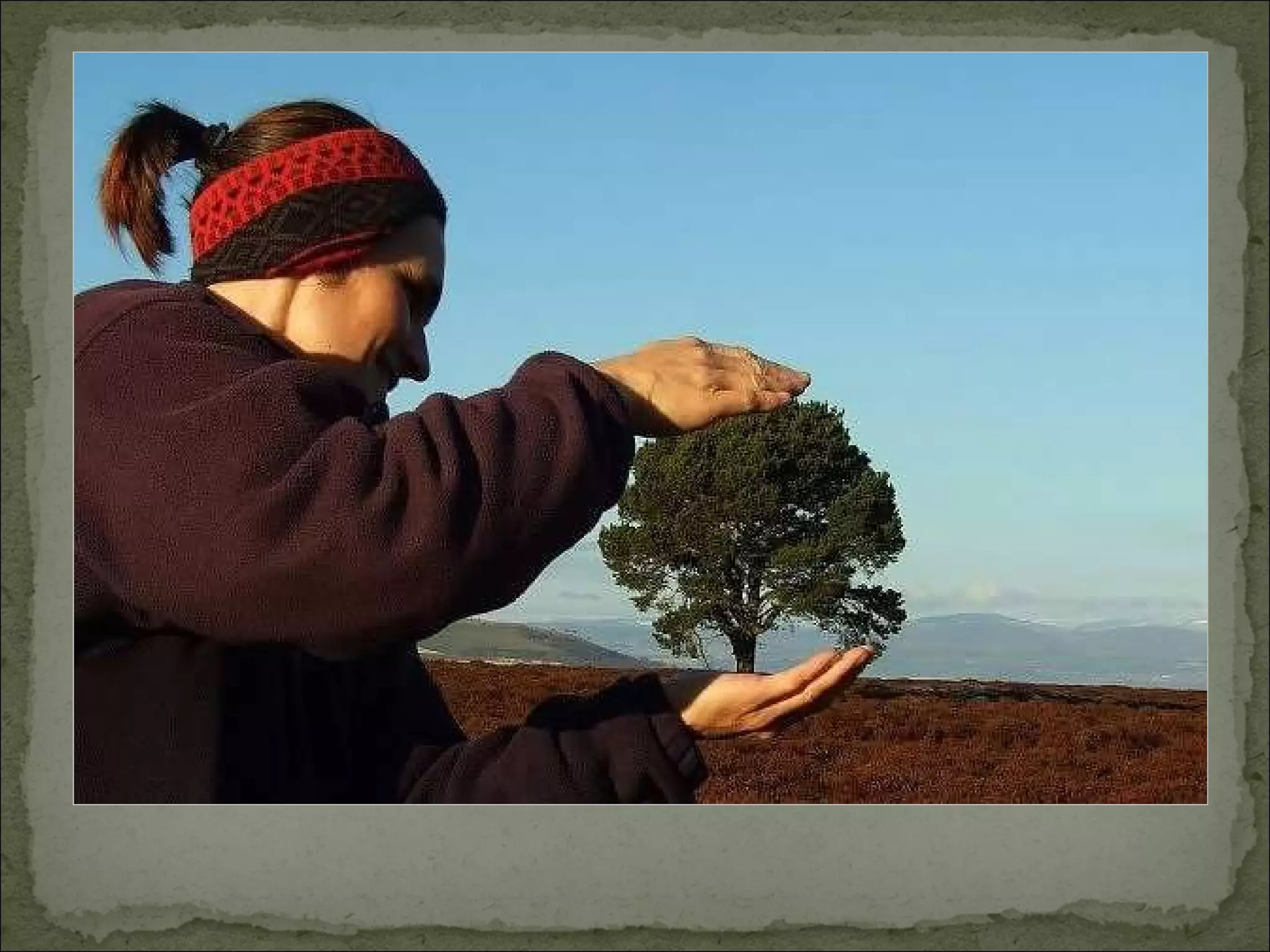 Forced Perspective Assignment | PPT