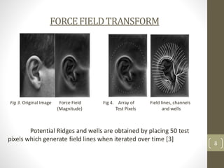 Force Field Transformation | PPT