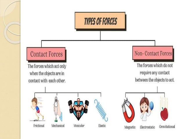 fundamentals of Force , Motion and Work.ppt | Physical Therapy | Wellness