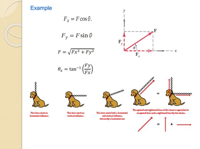 fundamentals of Force , Motion and Work.ppt | Physical Therapy | Wellness