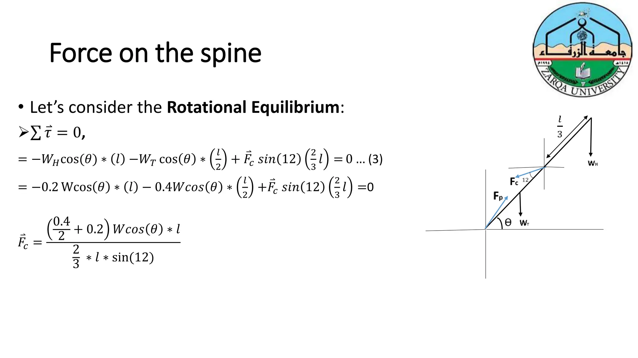 Biomechanics - Force on the Spine .pptx