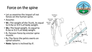 Biomechanics - Force on the Spine .pptx