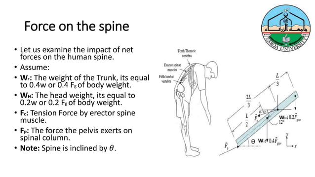 Biomechanics - Force on the Spine .pptx