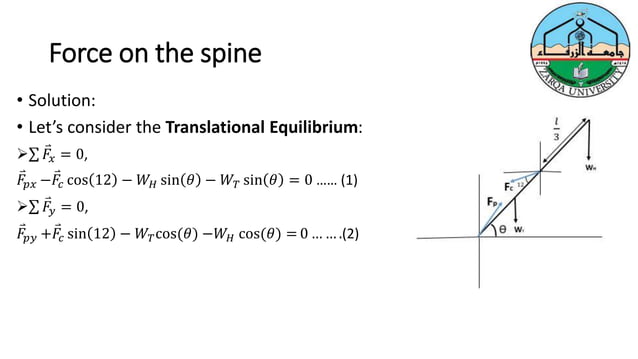 Biomechanics - Force on the Spine .pptx