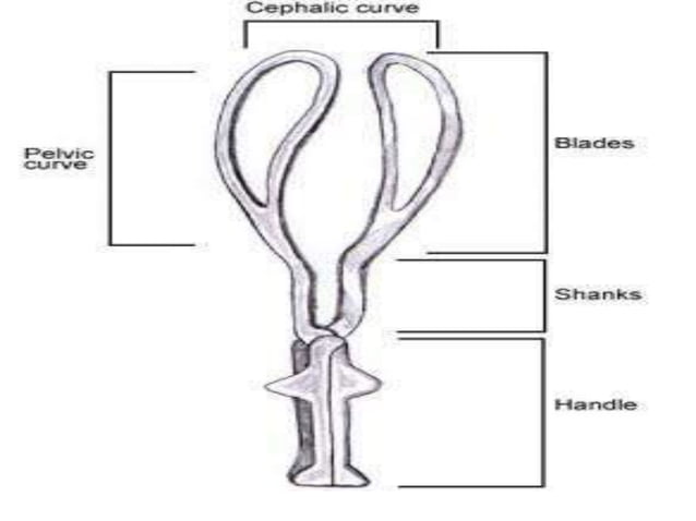 Forcep delivery | PPTX | Pregnancy | Reproductive Health
