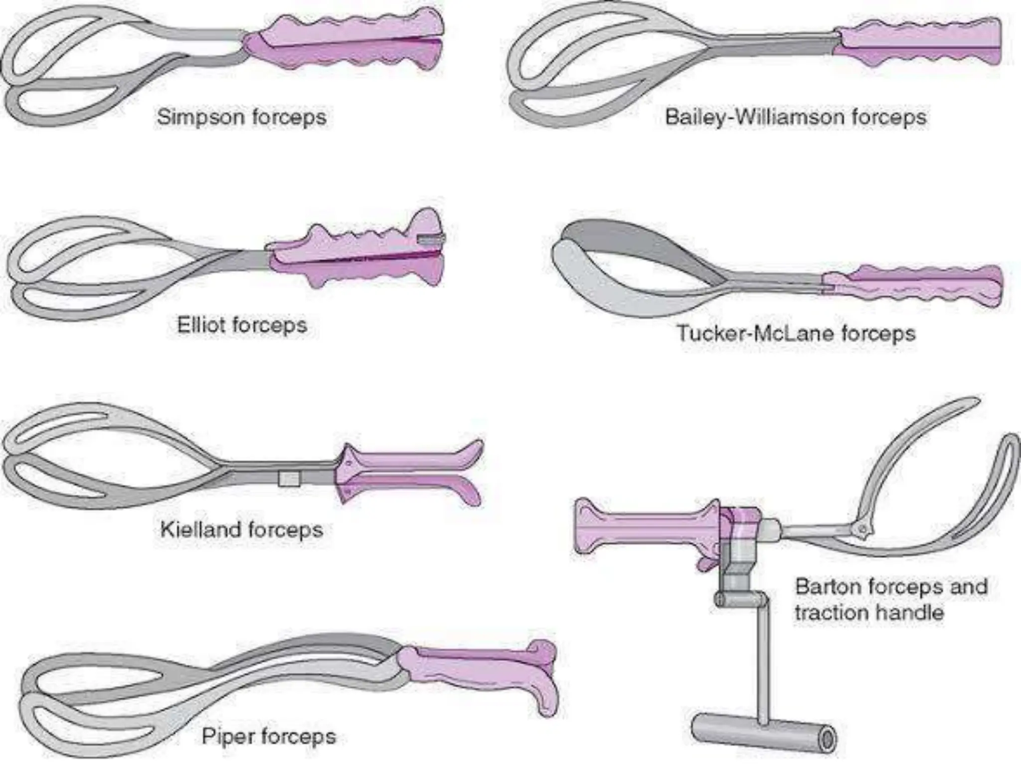FORCEPS DELIVERY............ | PPTX