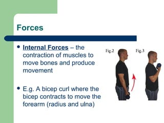 Forces | PPT