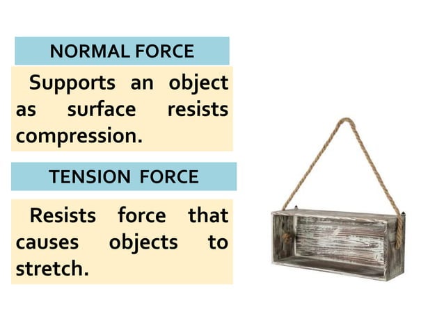 Science 8 Quarter 1 Week 1 FORCES AND MOTION .pptx | Physics | Science