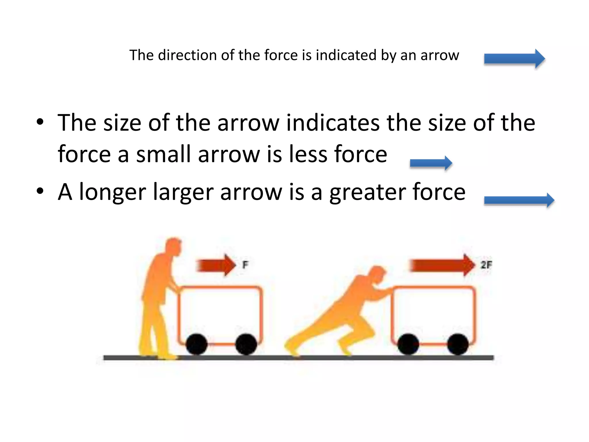Basic Forces year 10 Physics powerpoint ml | PPTX
