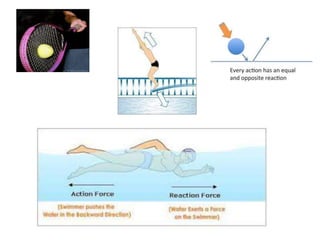 Basic Forces year 10 Physics powerpoint ml | PPTX