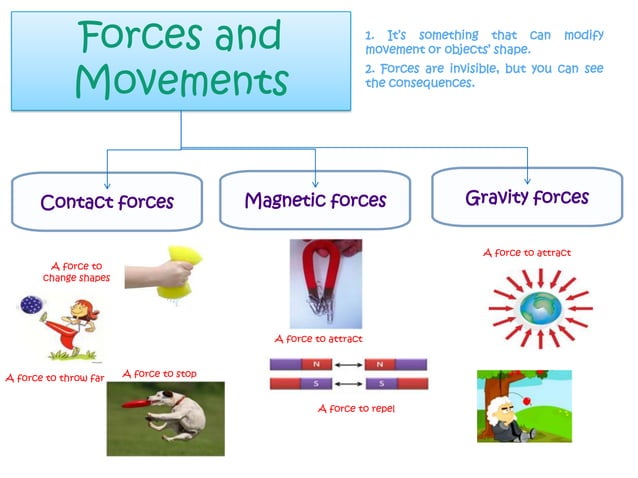 Forces and movements | PPT