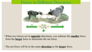 Forces Balanced and Unbalanced (2).pptxForces Balanced and Unbalanced ...