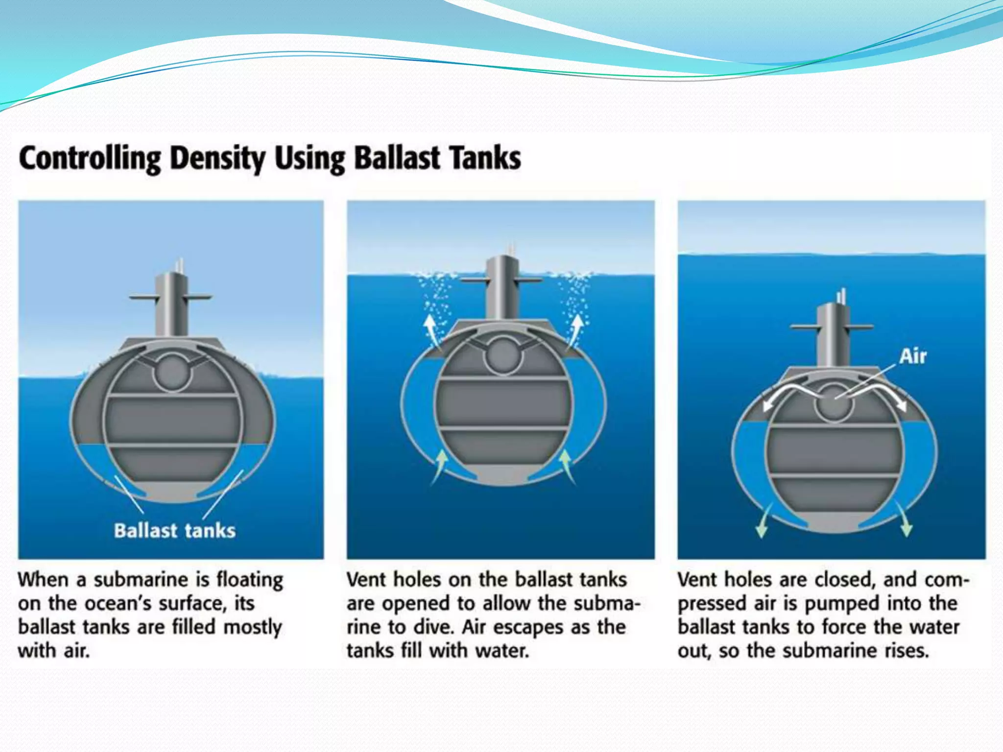 Forces in Fluids | PPTX