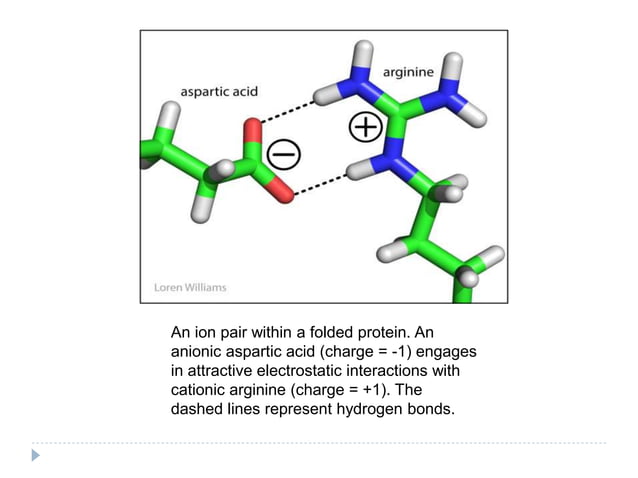 Forces stabilising structure of proteins | PPTX | Chemistry | Science