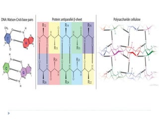 Forces stabilising structure of proteins | PPTX
