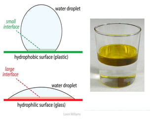 Forces stabilising structure of proteins | PPTX