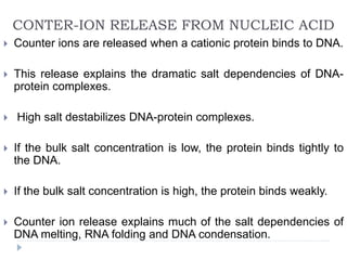 Forces stabilising structure of proteins | PPTX