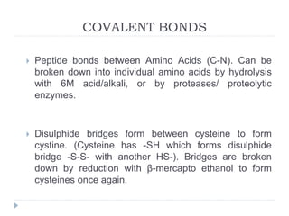 Forces stabilising structure of proteins | PPTX