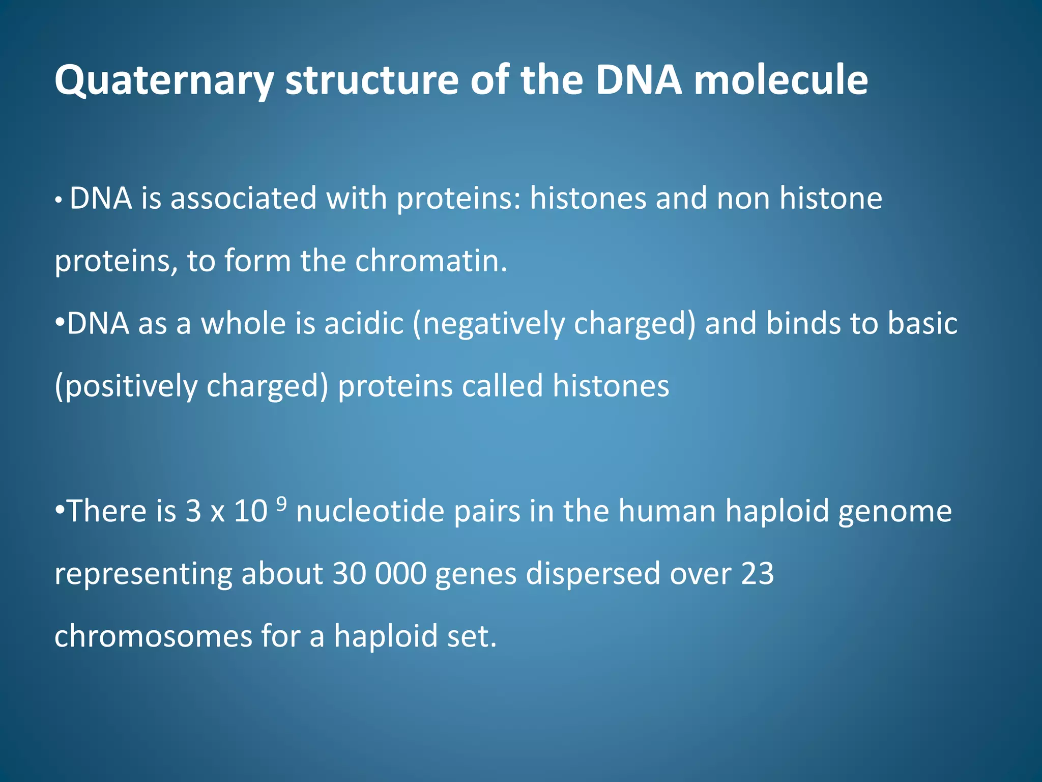 DNA and Forces stabilizes dna structure | PPTX