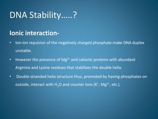 DNA and Forces stabilizes dna structure | PPTX