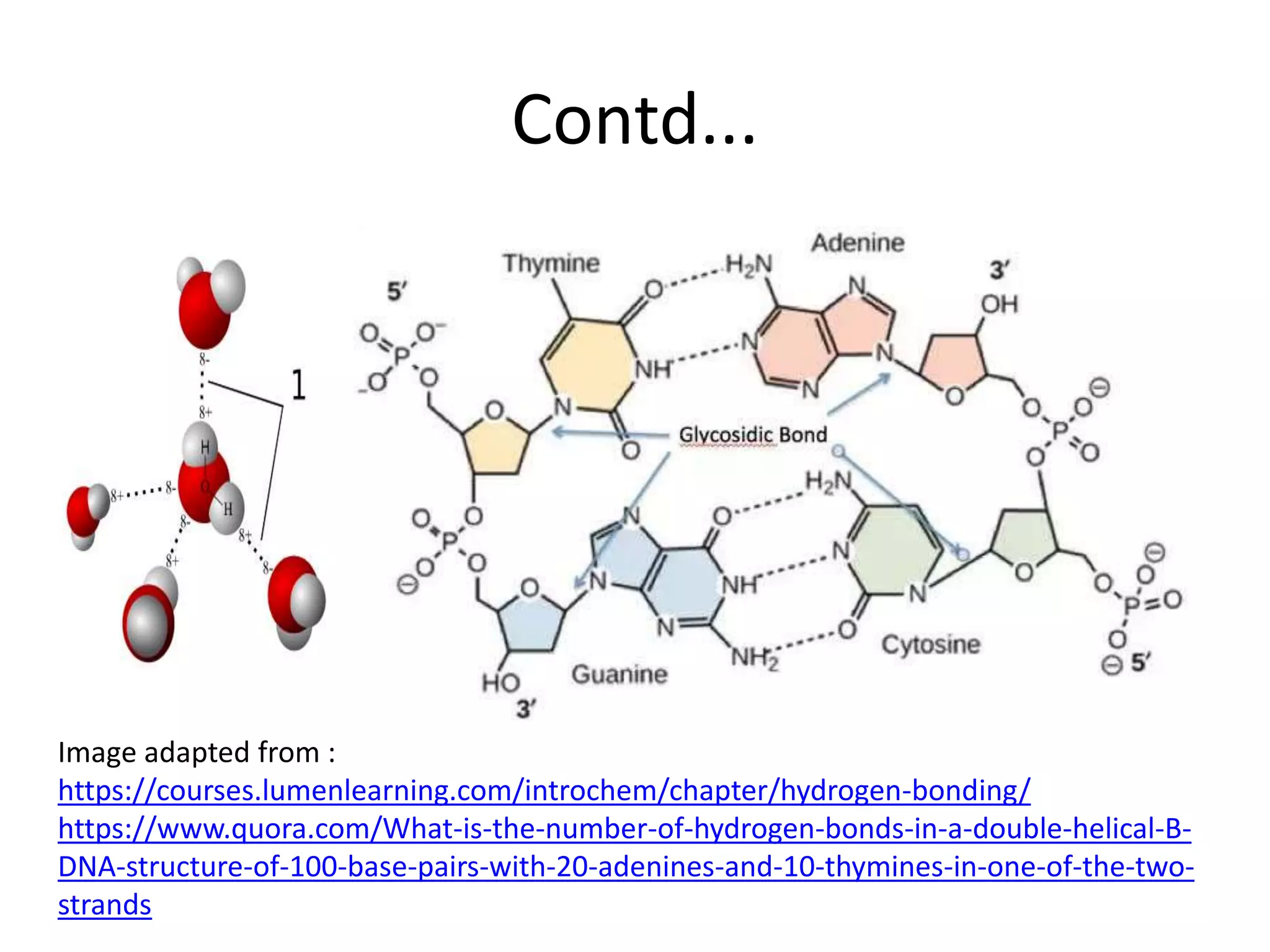Forces stabilizing nucleic acid structure | PPTX
