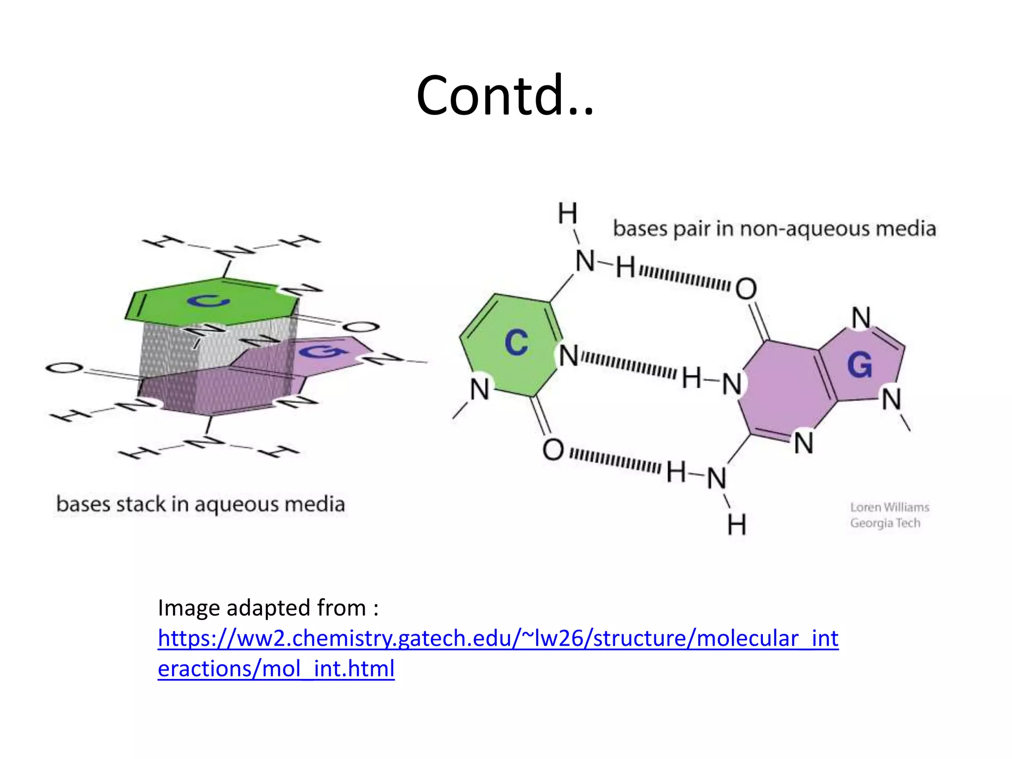 Forces stabilizing nucleic acid structure | PPTX