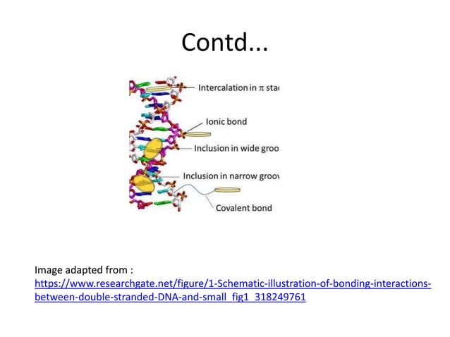 Forces stabilizing nucleic acid structure | PPTX | Chemistry | Science