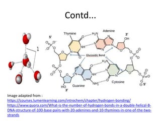Nucleic Acid Structures