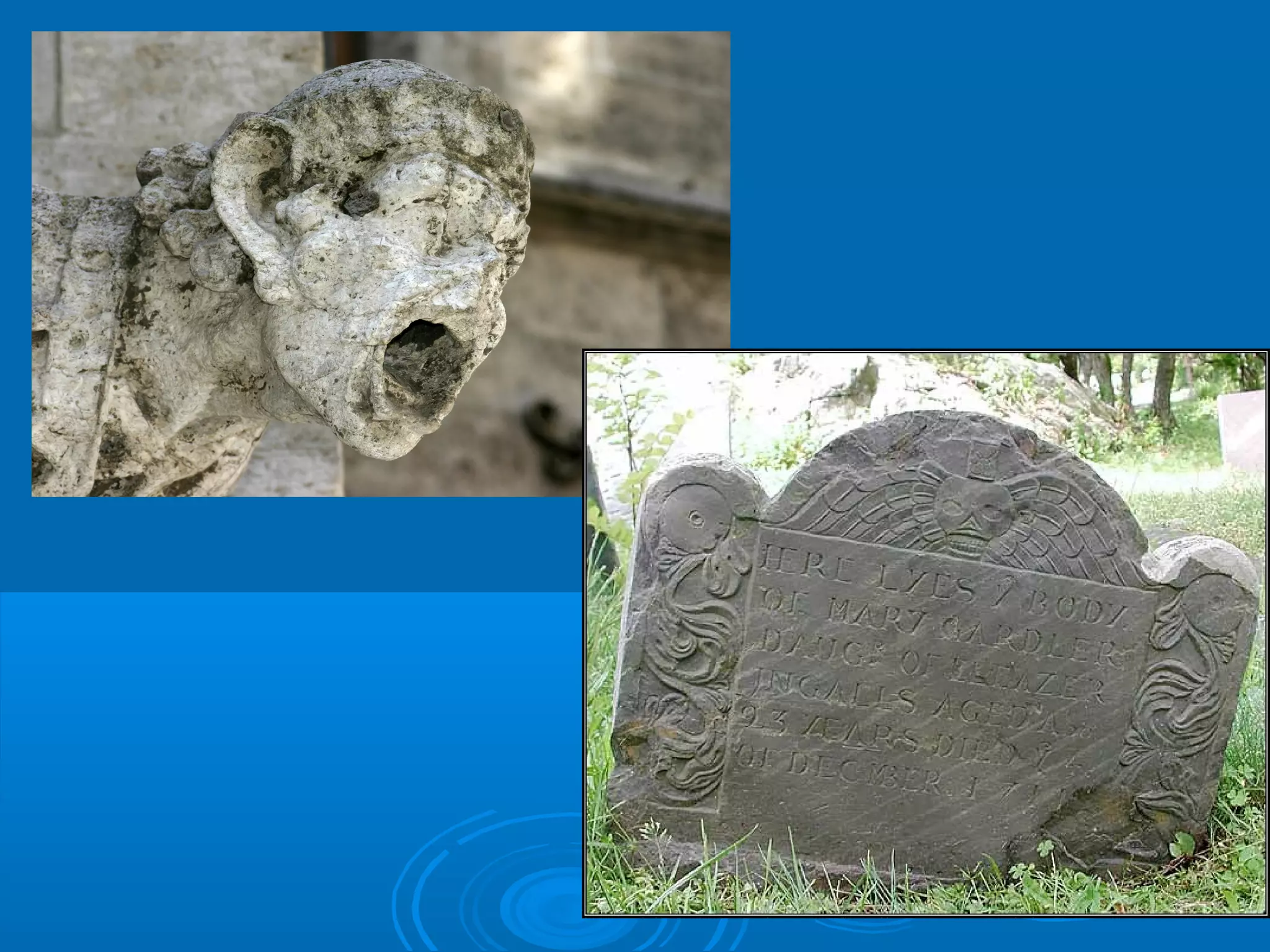 Forces that shape our earth | PPT