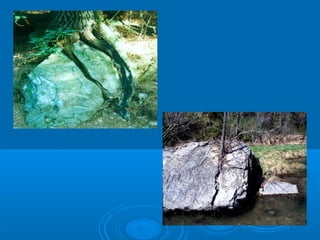 Forces that shape our earth | PPT