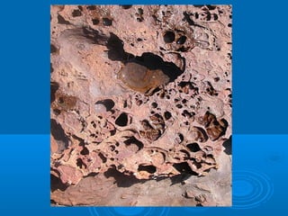 Forces that shape our earth | PPT