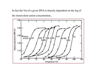 Forces That Stabilize the DNA structure.pptx