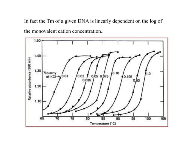 Forces That Stabilize the DNA structure.pptx