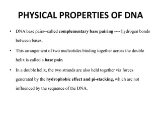Forces That Stabilize the DNA structure.pptx