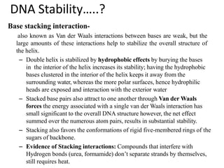 Forces That Stabilize the DNA structure.pptx
