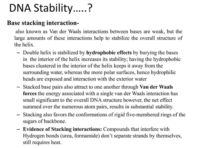 Forces That Stabilize the DNA structure.pptx