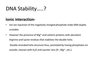 Forces That Stabilize the DNA structure.pptx