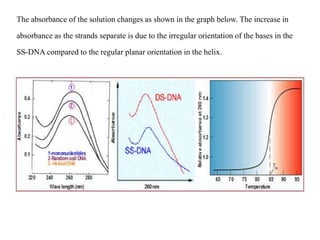 Forces That Stabilize the DNA structure.pptx