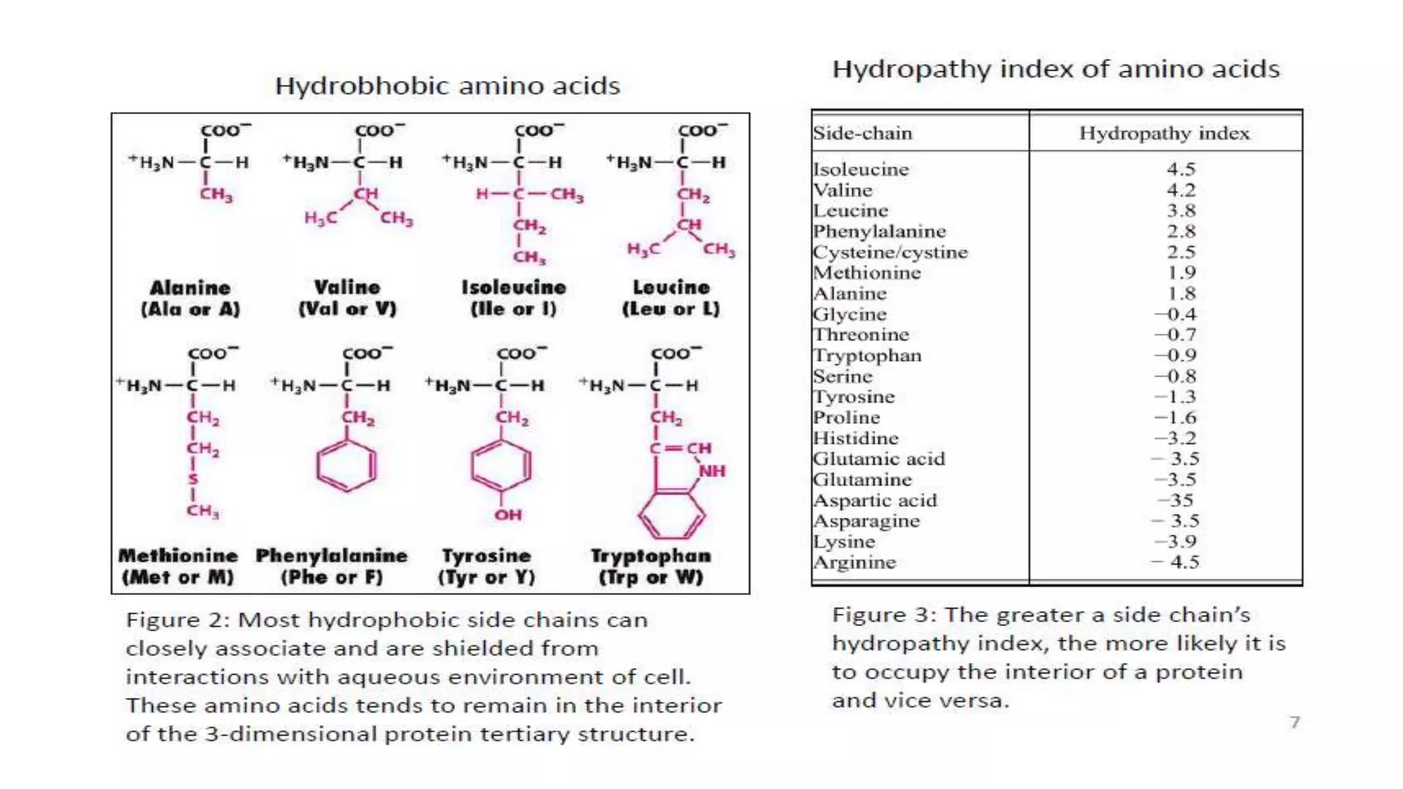 Forces that stablise protein structure | PPTX