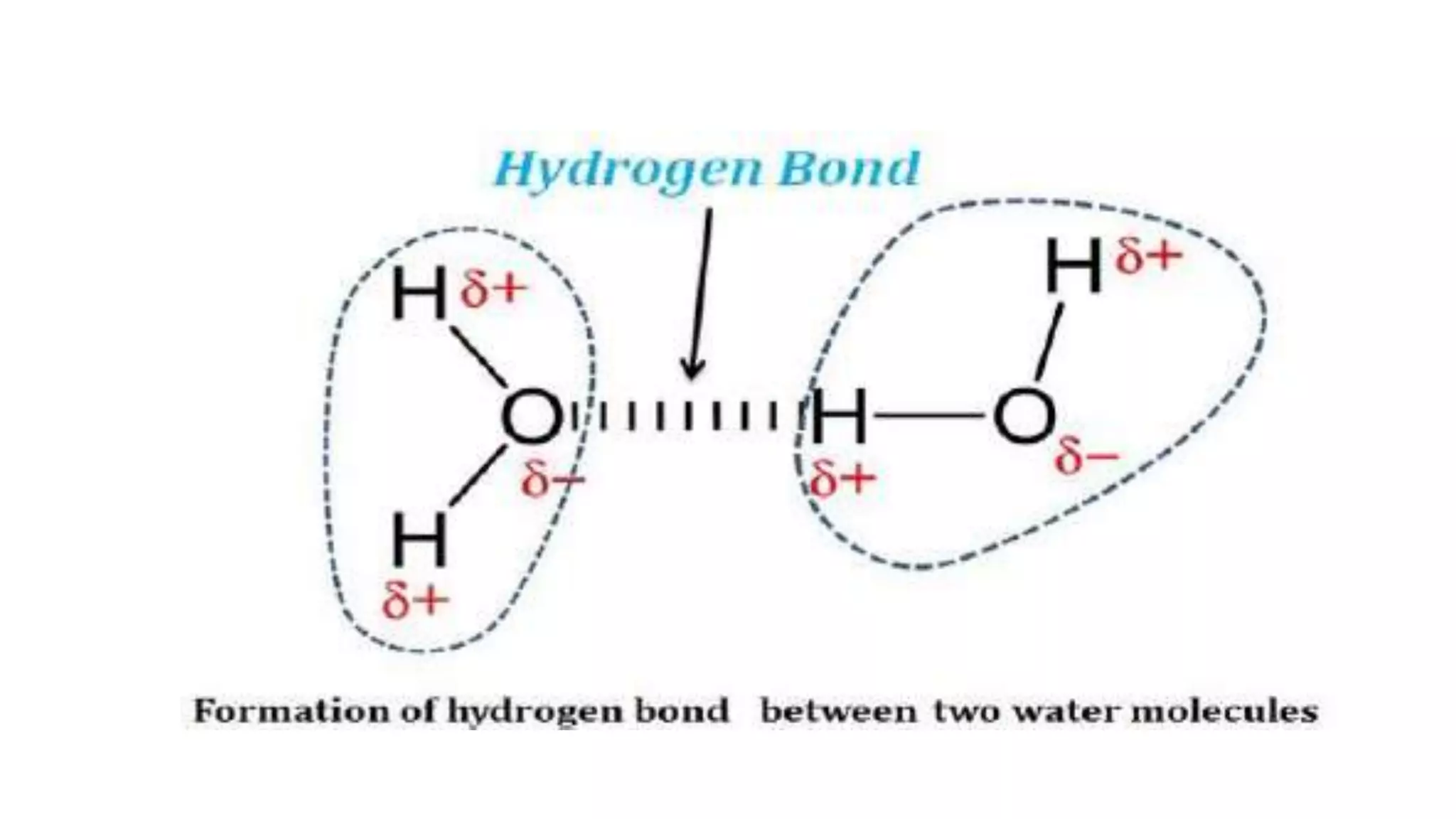 Forces that stablise protein structure | PPTX