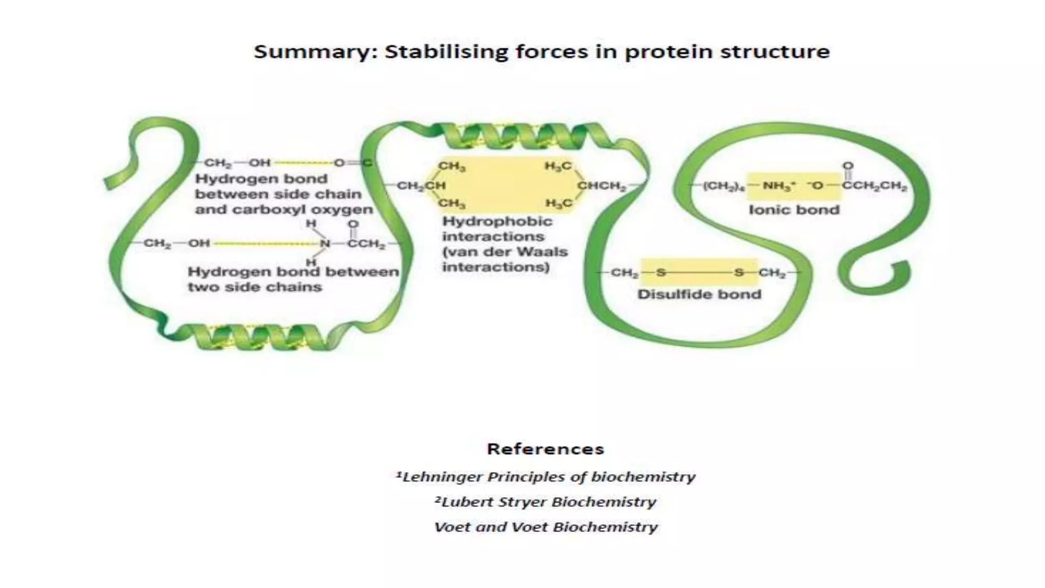 Forces that stablise protein structure | PPTX