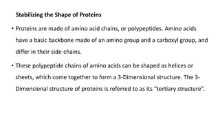 Forces that stablise protein structure | PPTX