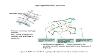 Forces that stablise protein structure | PPTX