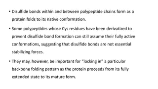 Forces that stablise protein structure | PPTX