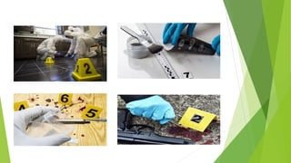 FORENSIC CHEMISTRY AND TOXICOLGY A DETAILED DISCUSSION | PPTX