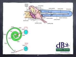 Hearing Basics and Importance of Hearing | PDF