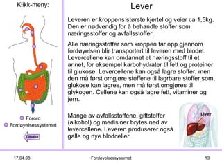 FordøYelsessystemet | PPT